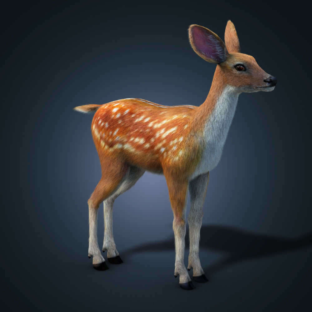 fur animation deer 3d model