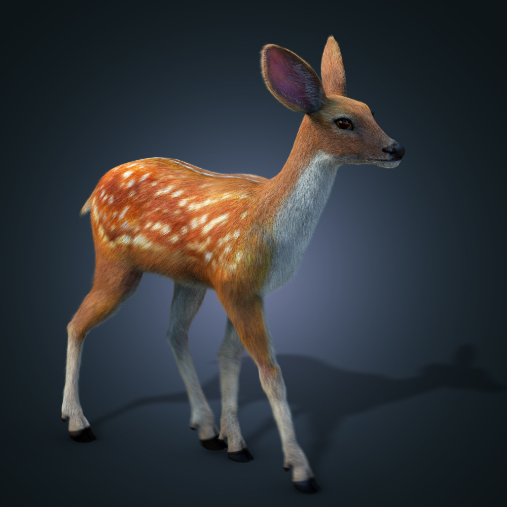 fur animation deer 3d model