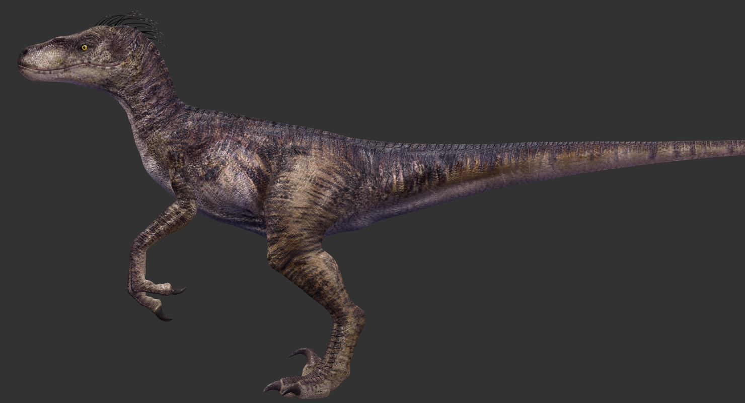 ma velociraptor animation