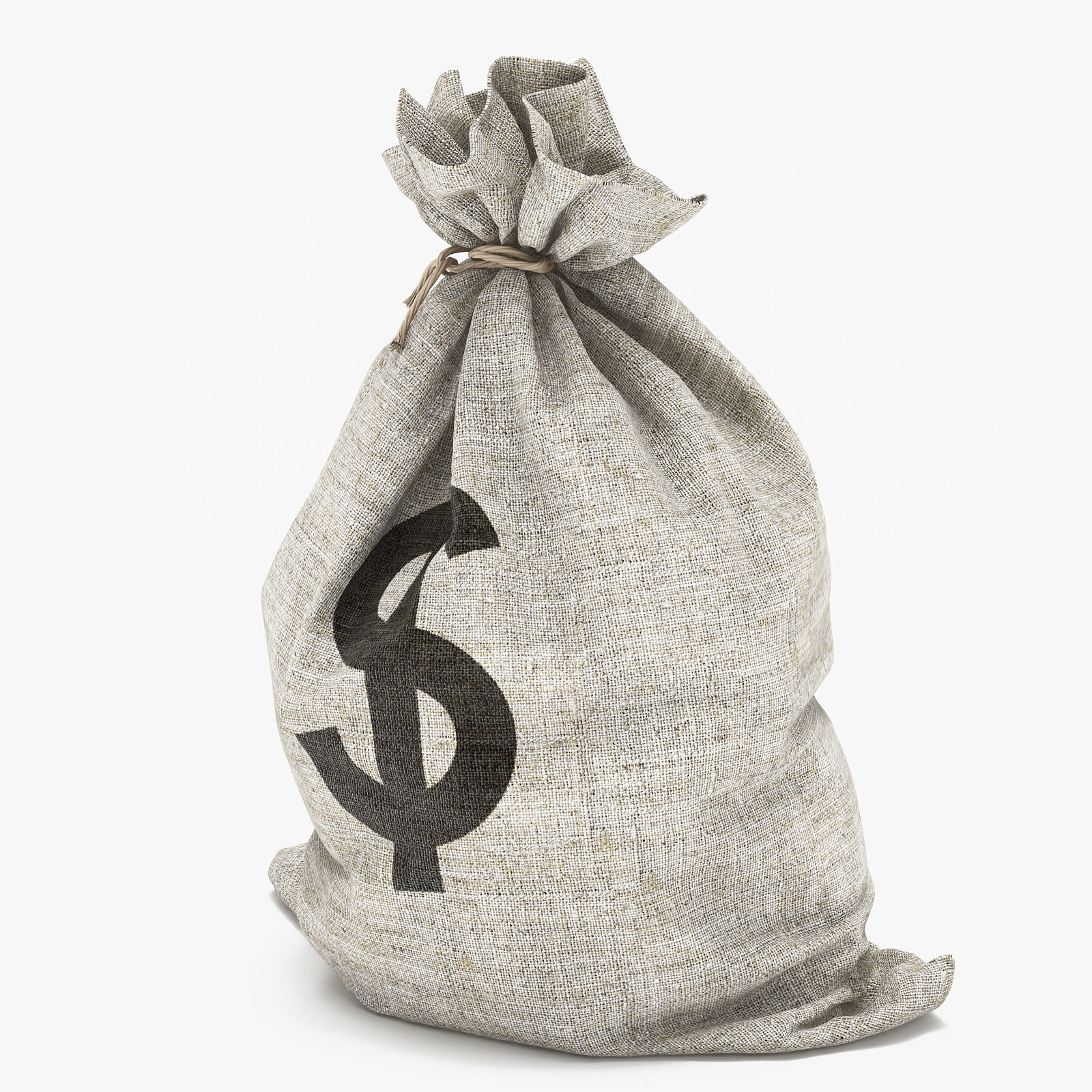 money bag dollar 3d model