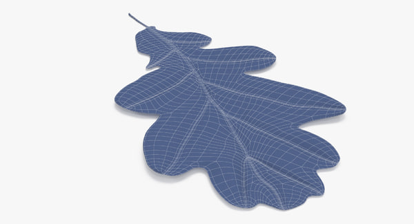 green oak leaf 3d model
