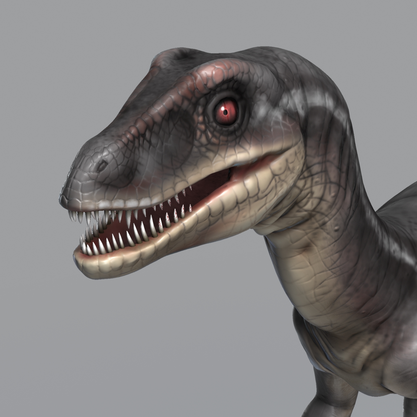 3d model raptor carnivore