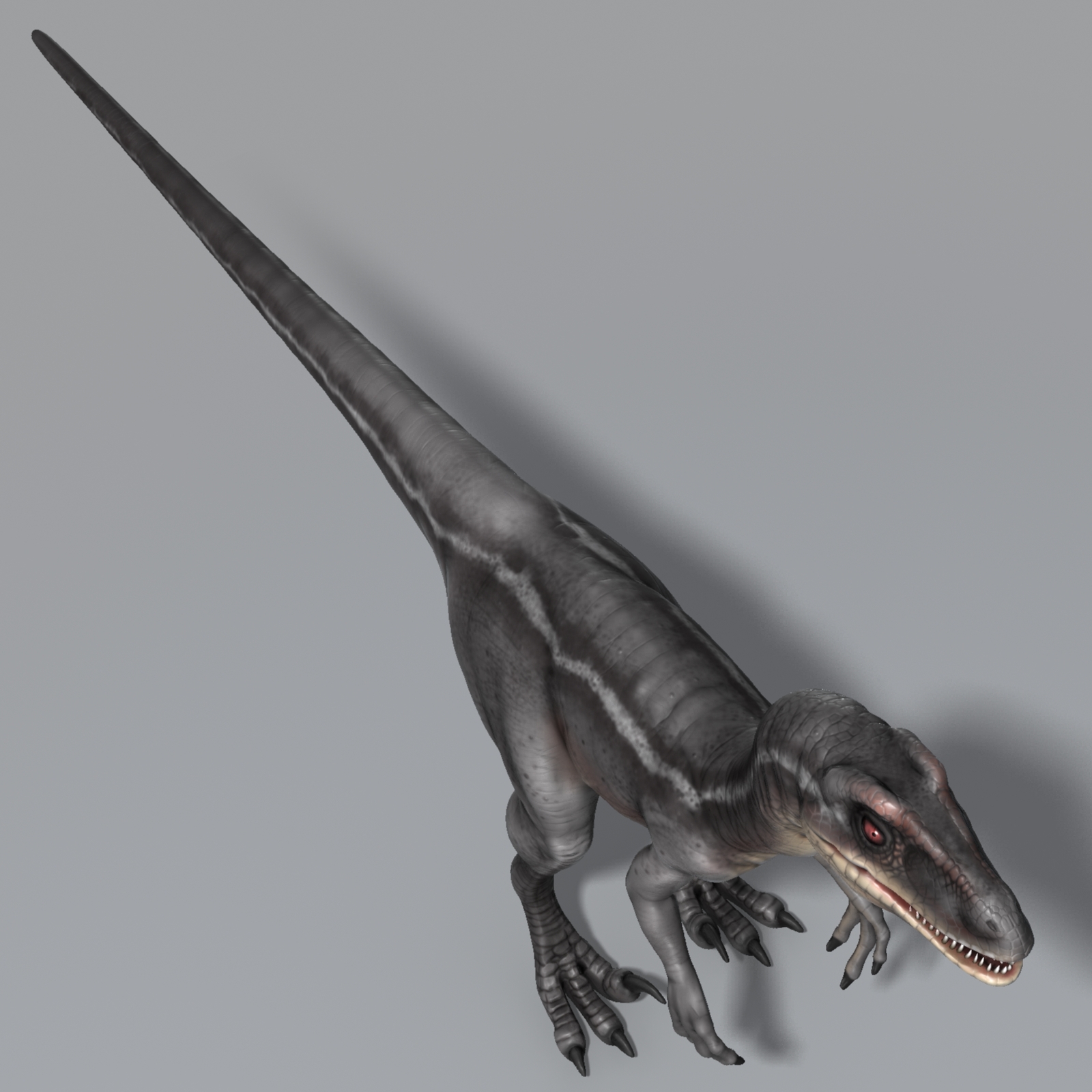 3d model raptor carnivore