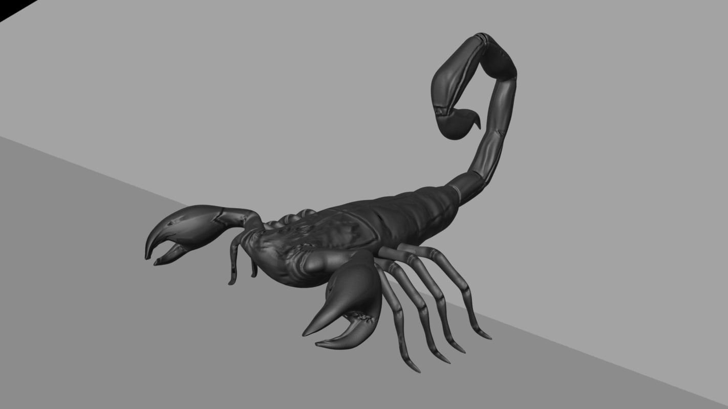 3d scorpion model