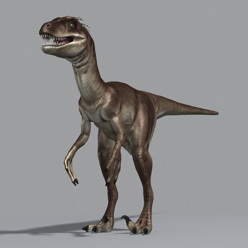 3d raptor carnivore model