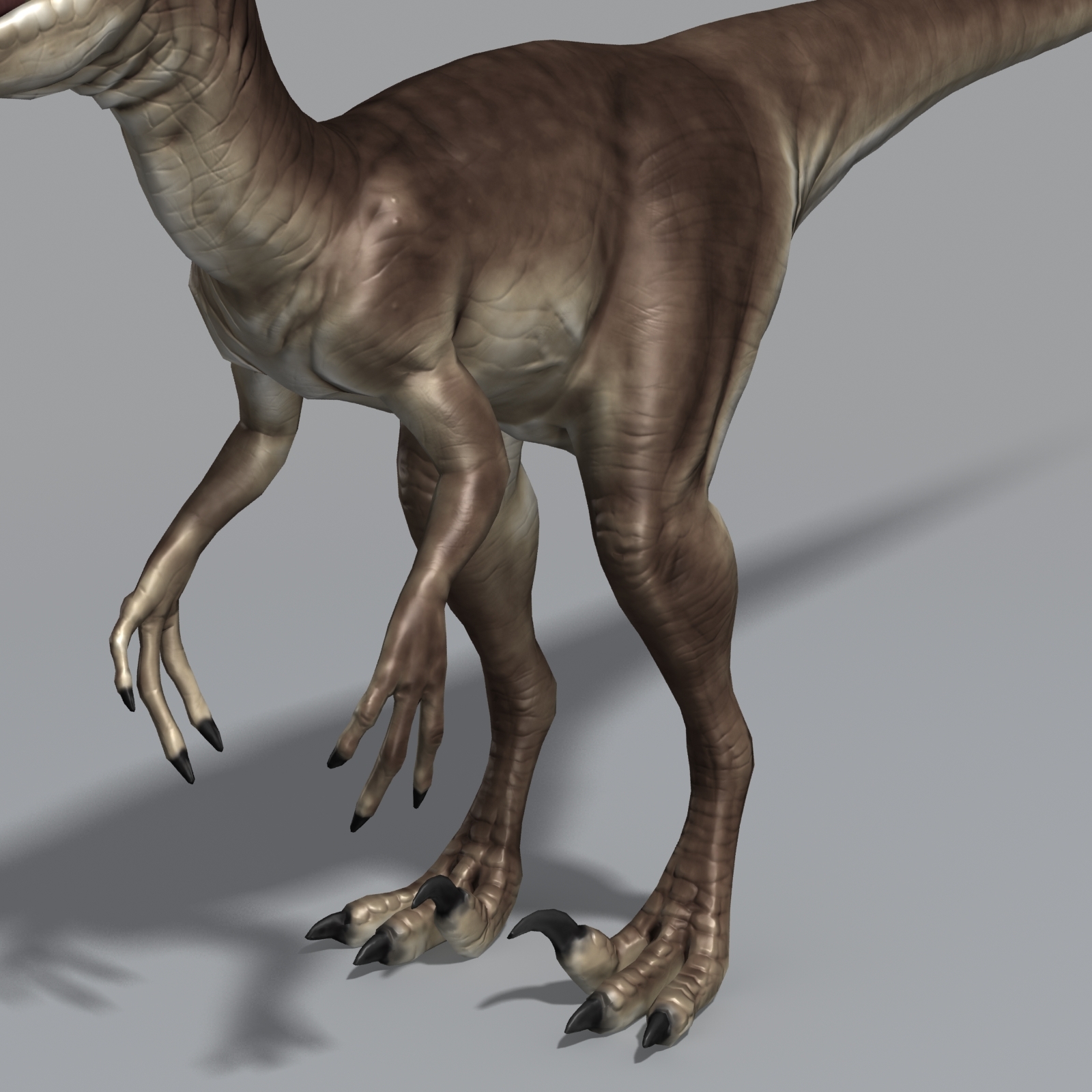 3d raptor carnivore model