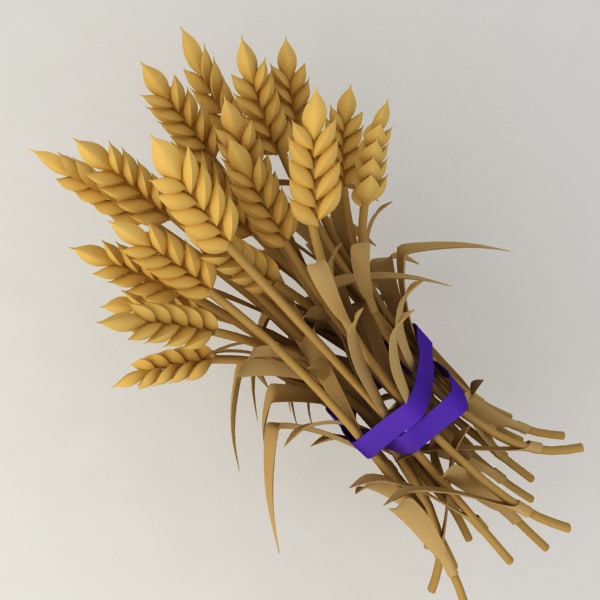 3D Wheat Models | TurboSquid