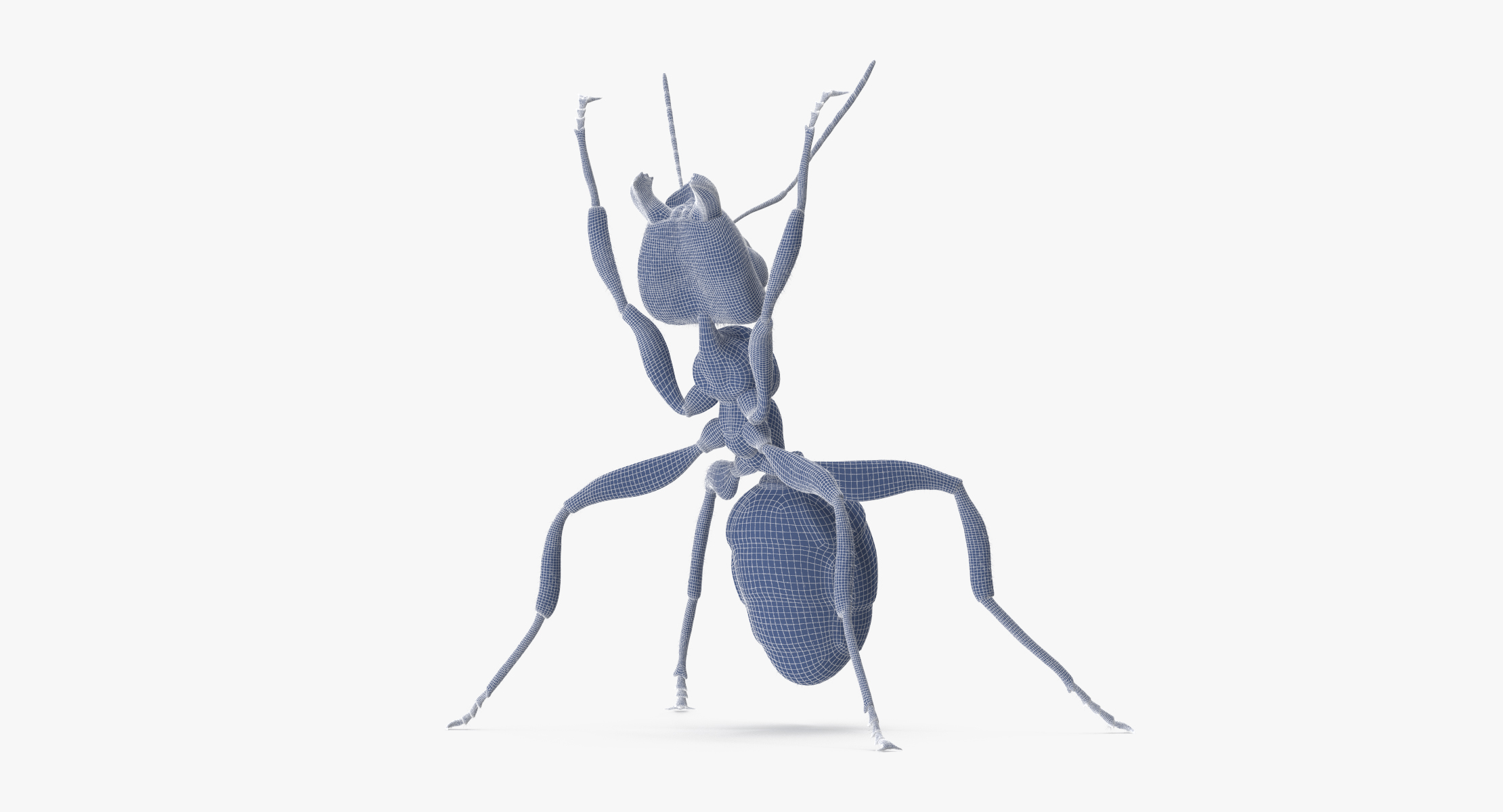 ant holding pose 3d model
