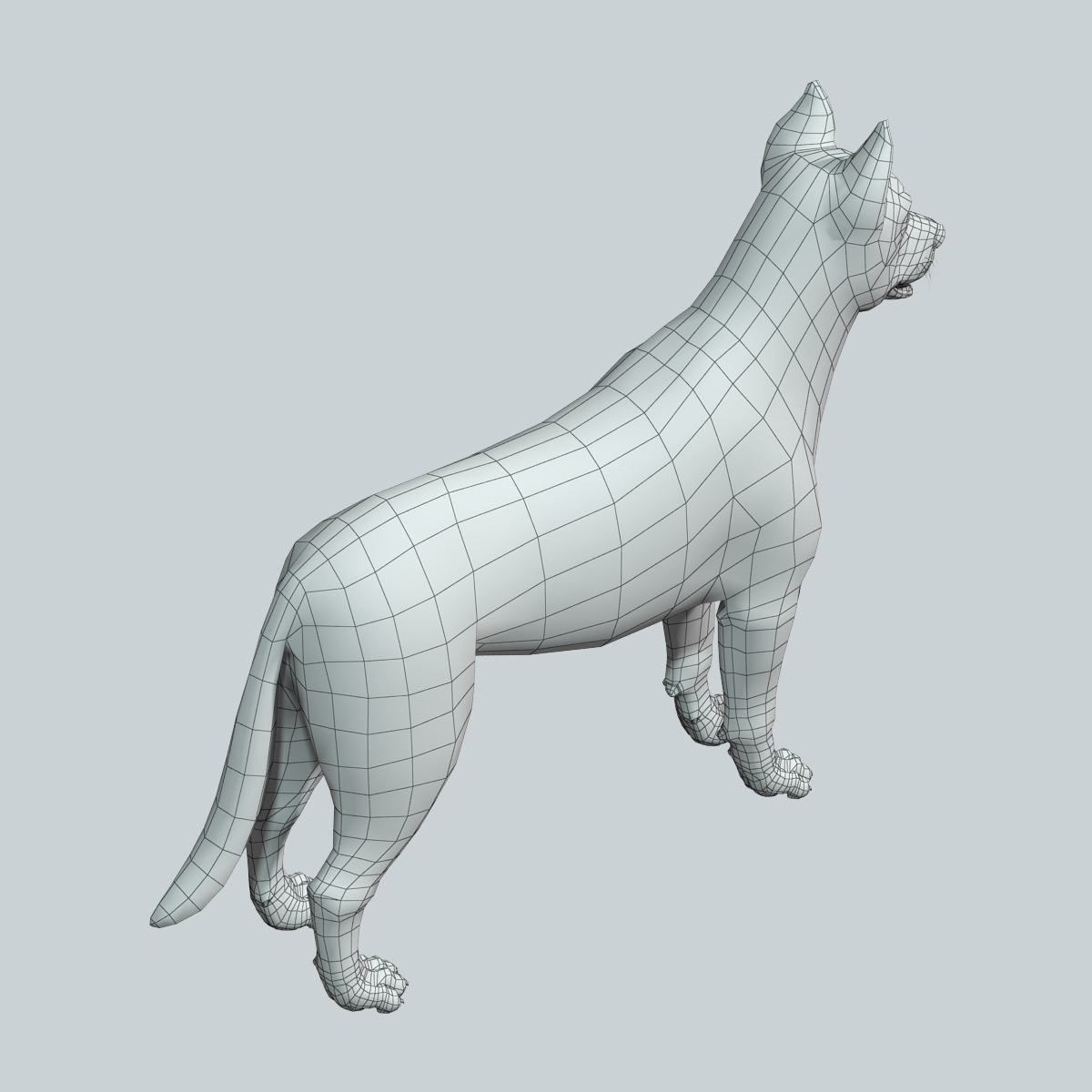 siberian husky fur 3d model
