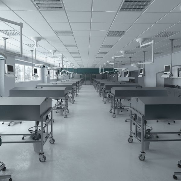 3d anatomy laboratory dissection tables model