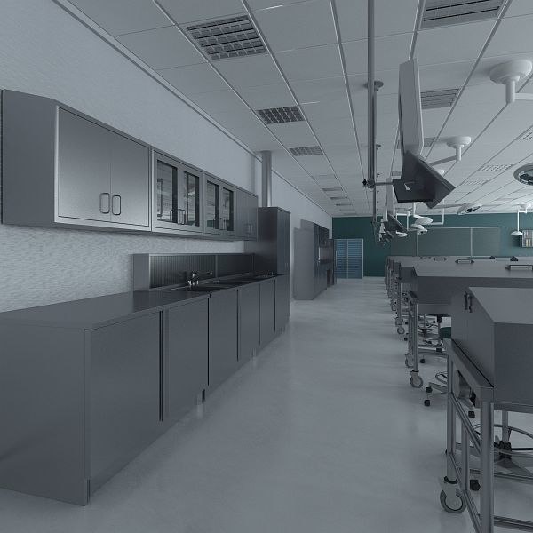 3d anatomy laboratory dissection tables model