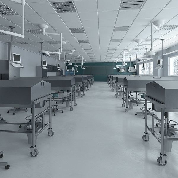 3d anatomy laboratory dissection tables model