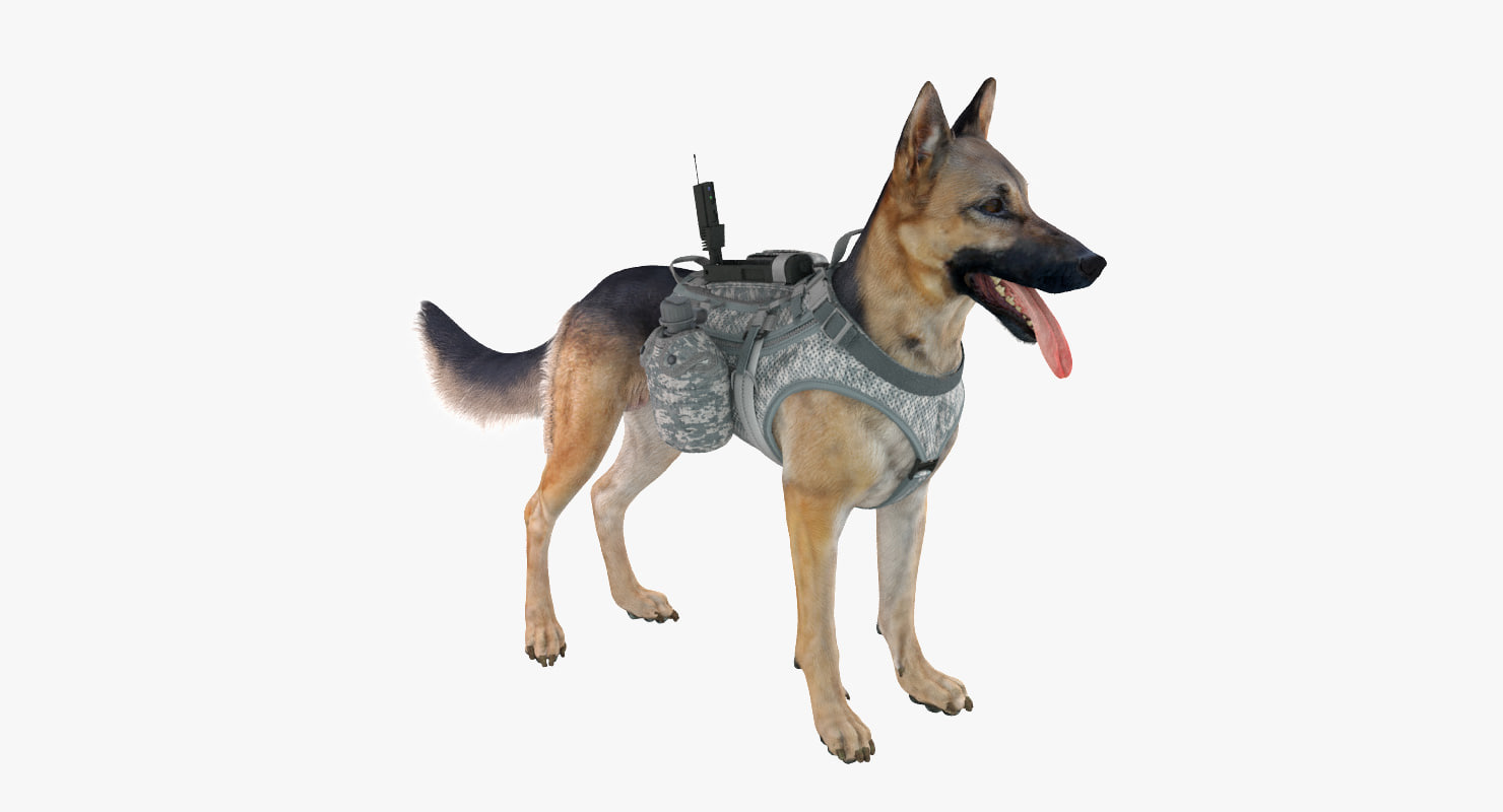military dog 3 3d max