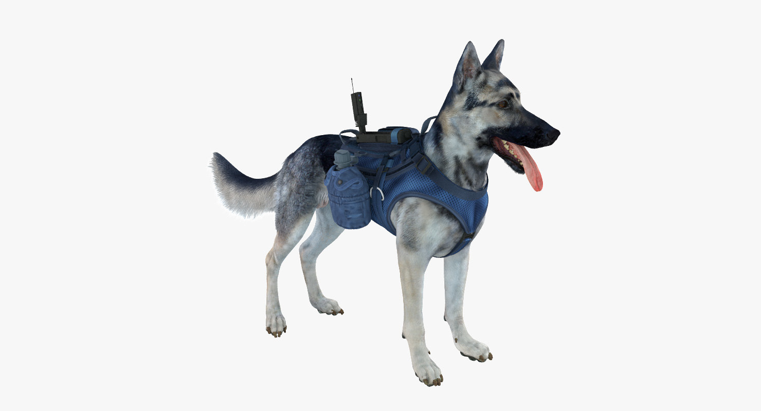military shepherd dog 3d max