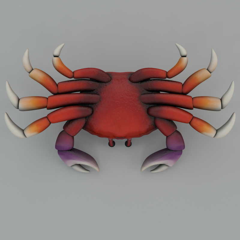 3d obj crab claw animation