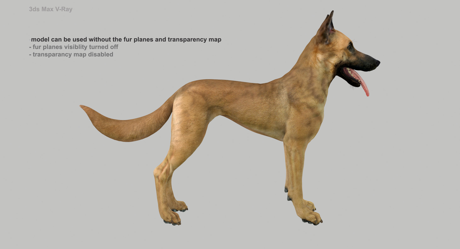 military dog 6 3d model
