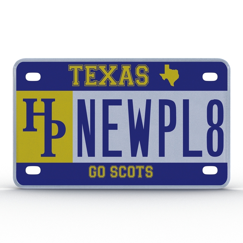 3d model texas license plate