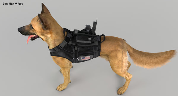 military dog 6 3d model