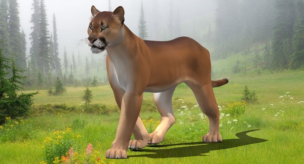 modelo 3d Puma (animación, dibujos animados) - TurboSquid 981724