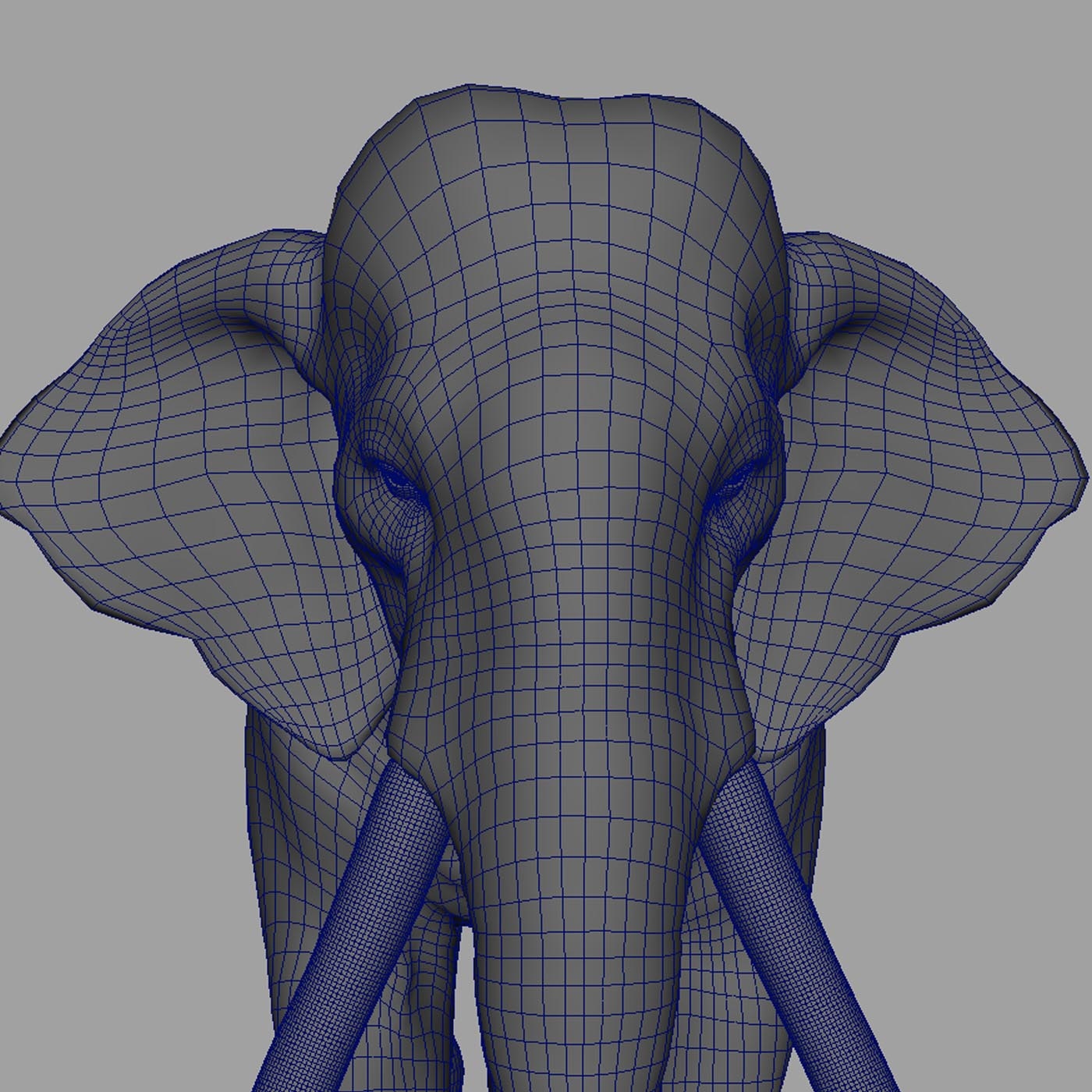 basemesh elephant uvs 3d obj
