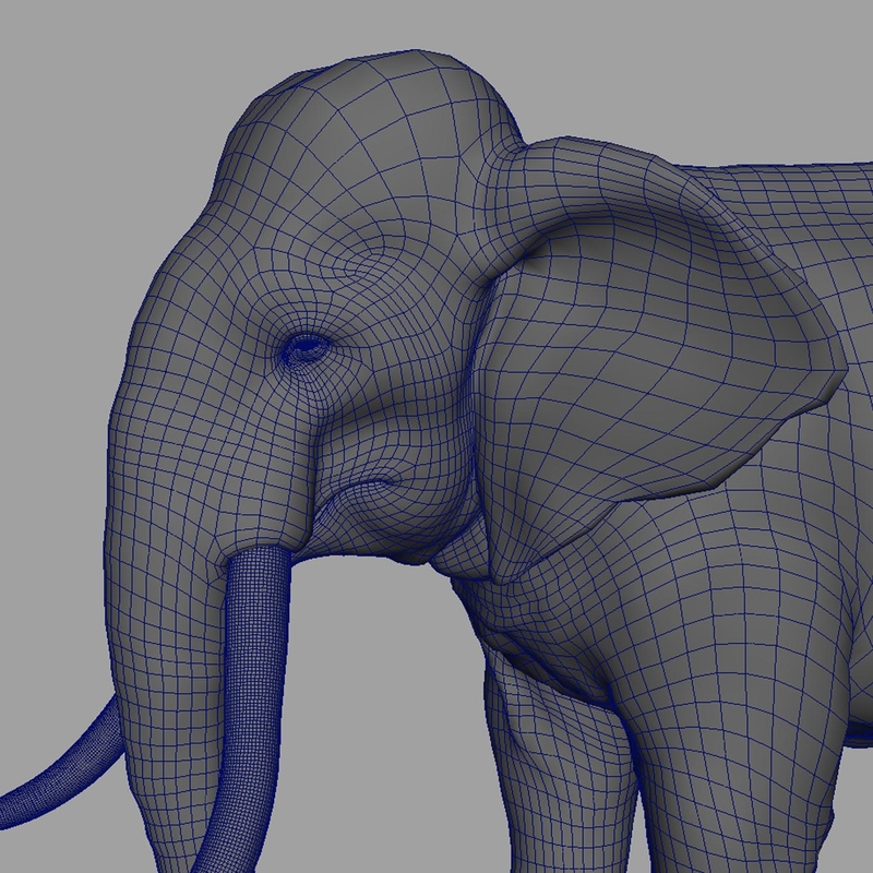 basemesh elephant uvs 3d obj