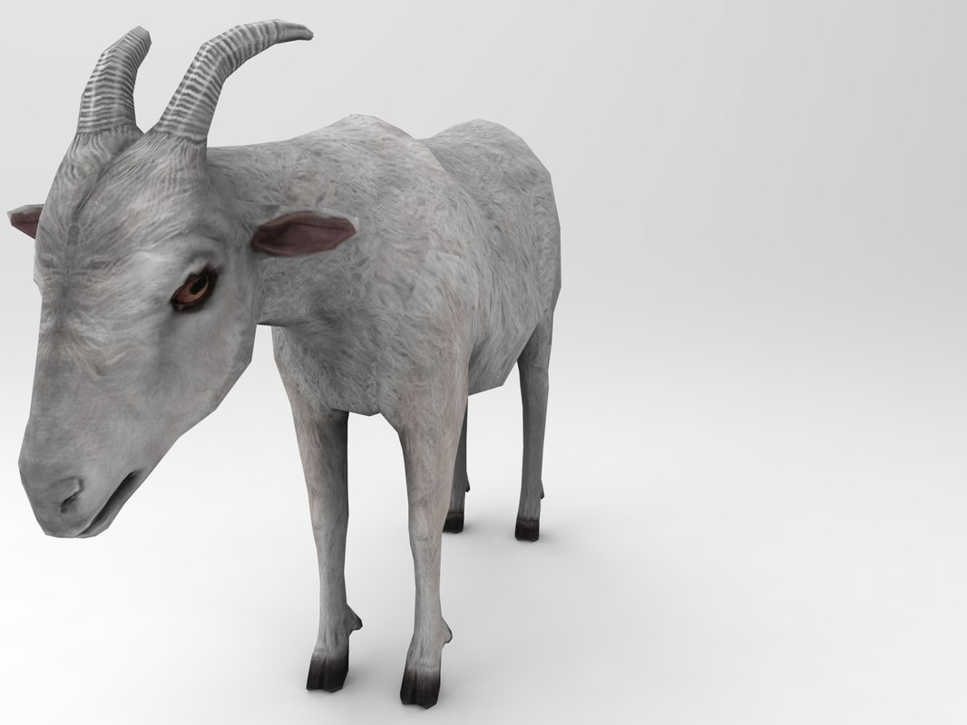 3d goat model