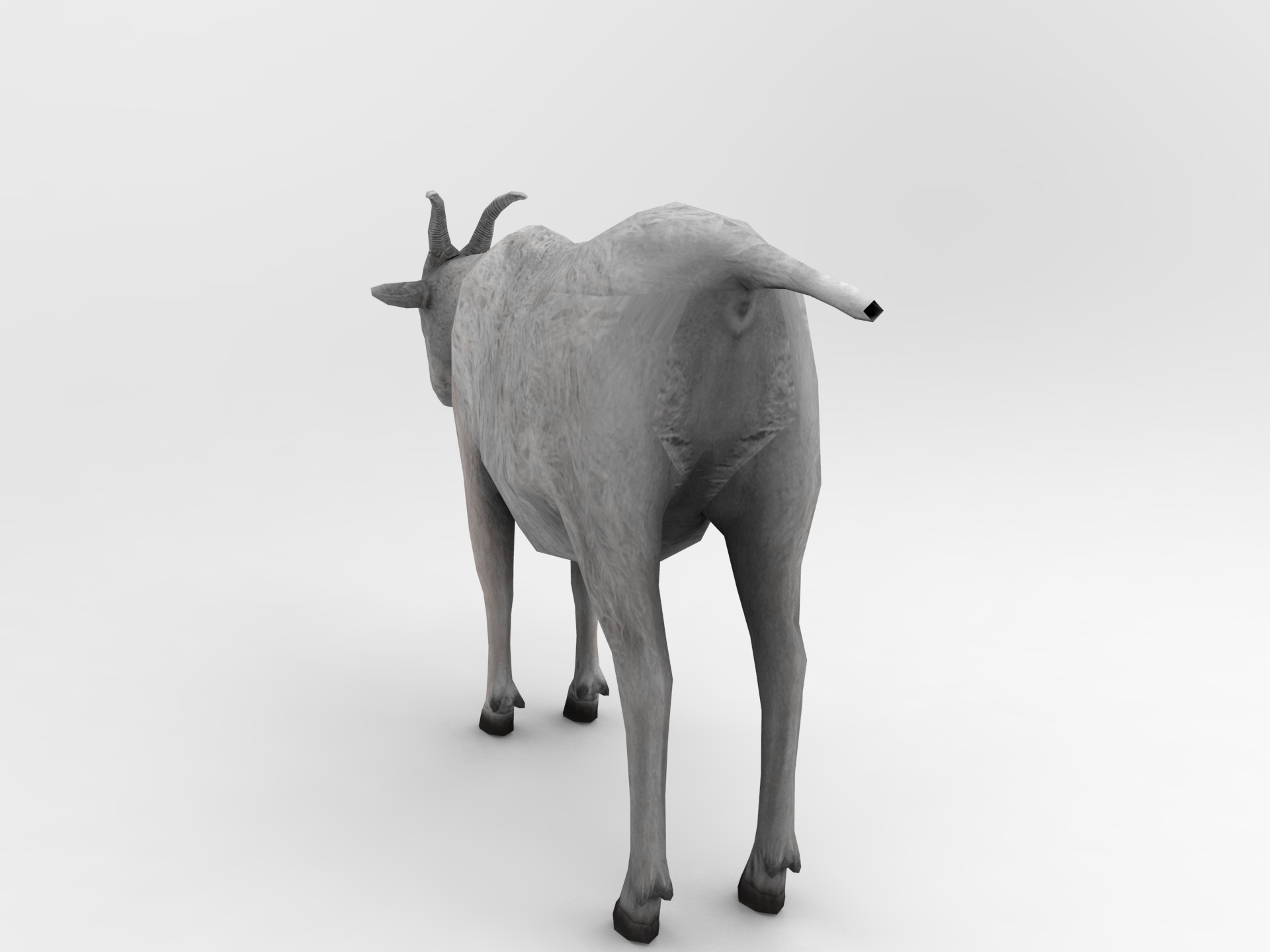 3d goat model
