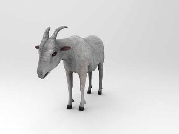 3d goat model
