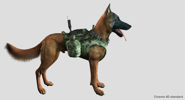 3d model military shepherd dog 1
