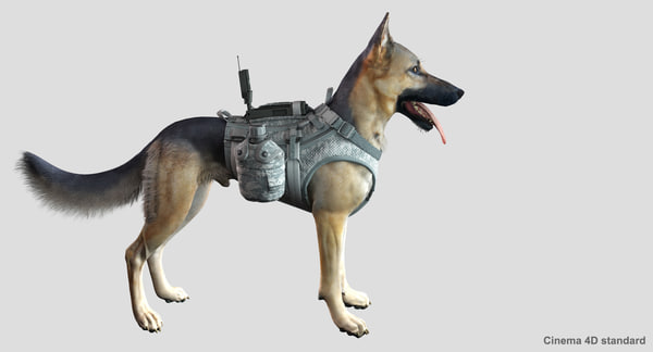 military dog 3 3d max