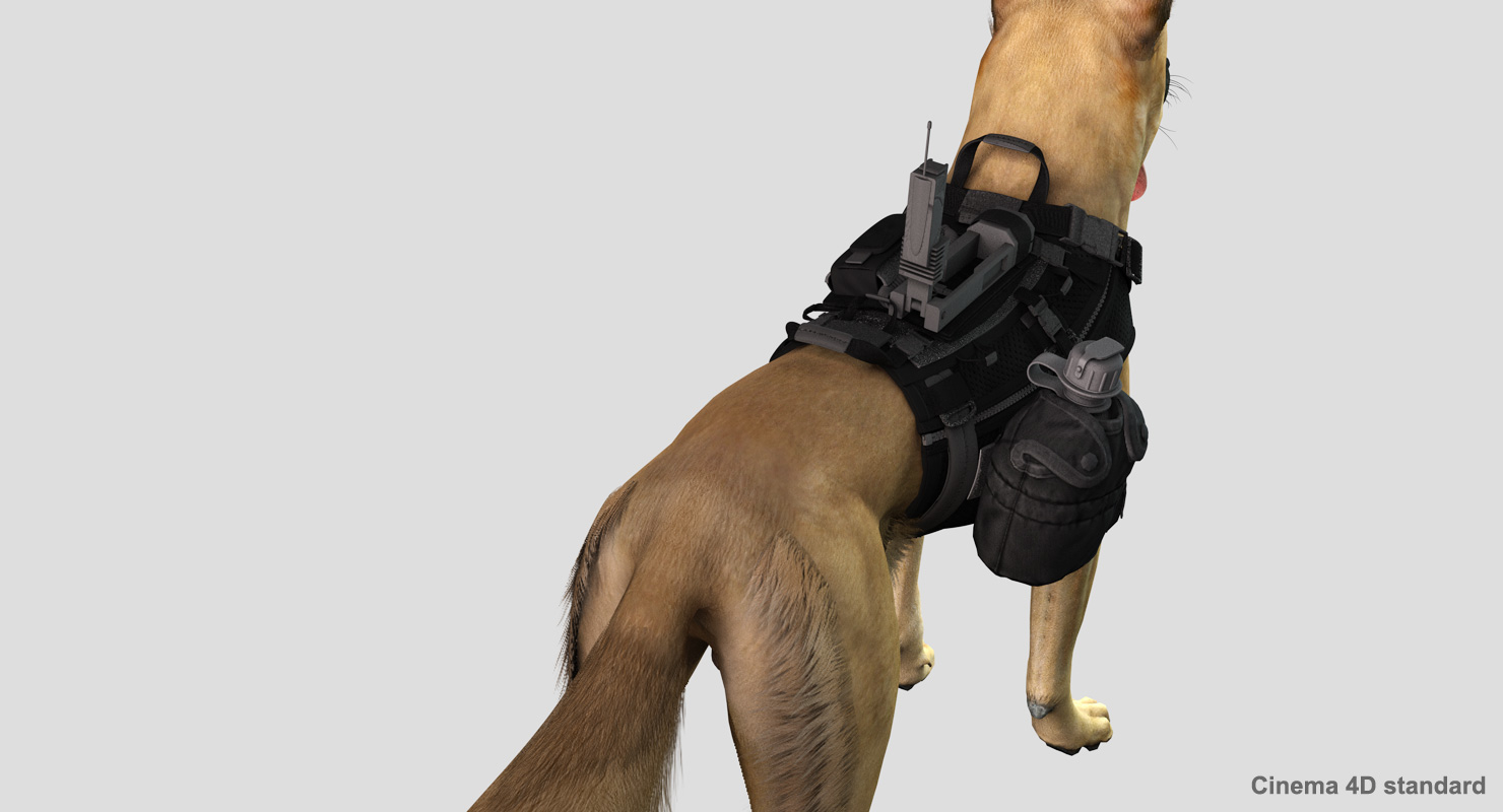 military dog 6 3d model
