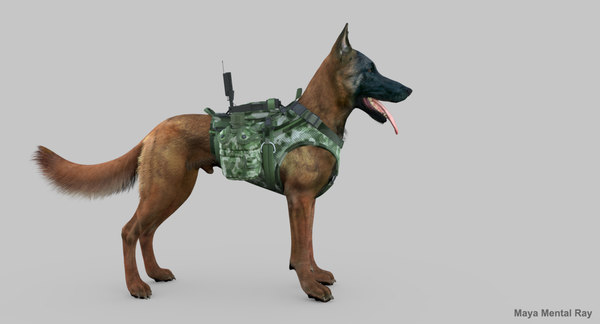 3d model military shepherd dog 1