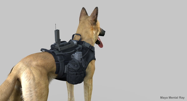 military dog 6 3d model