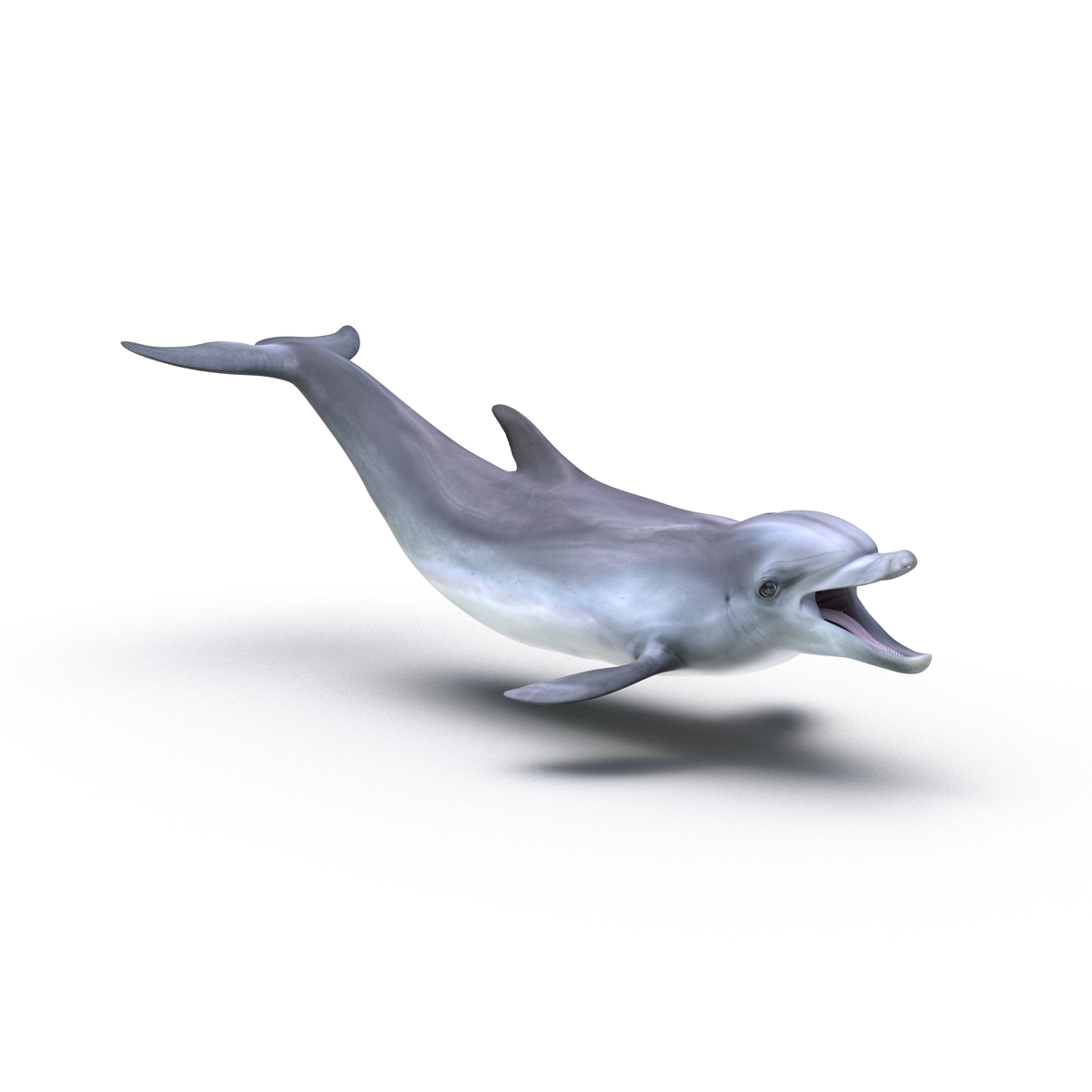 dolphin pose 3 3d 3ds
