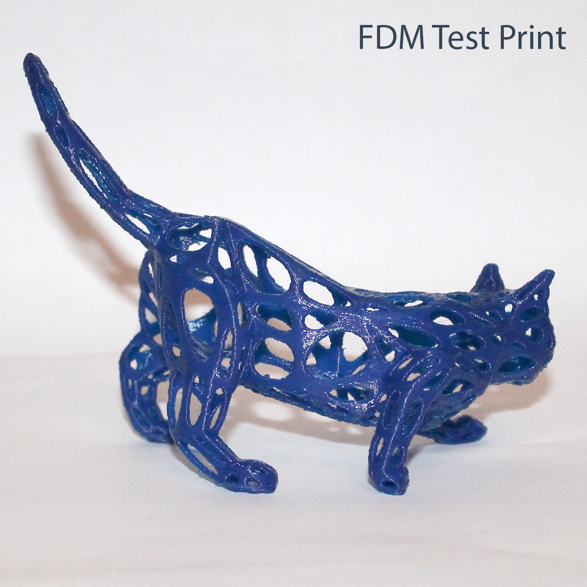 printable printing cat 3d max