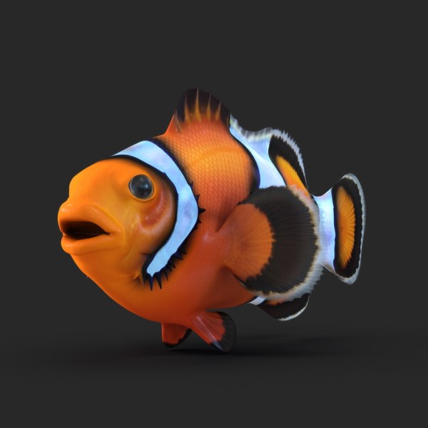 clownfish realistic max