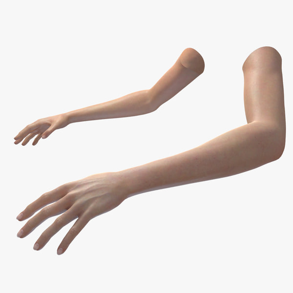 realistic human arm 3d model