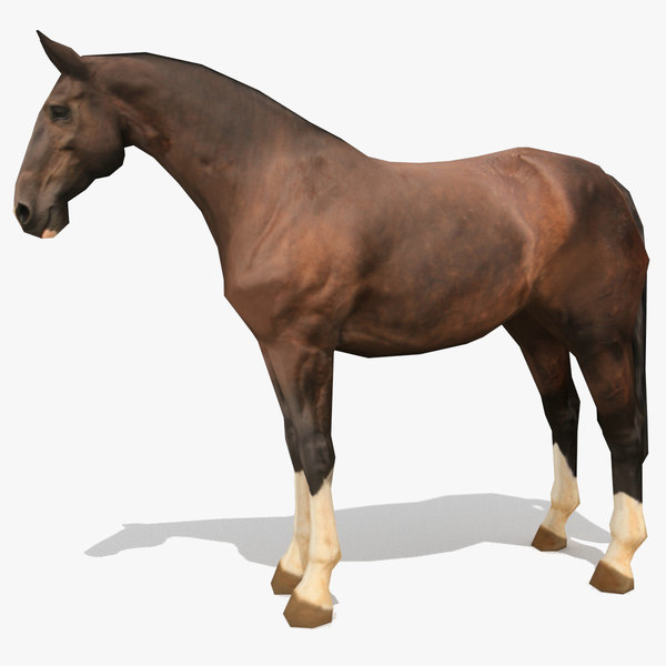 Horse Blender Models for Download | TurboSquid