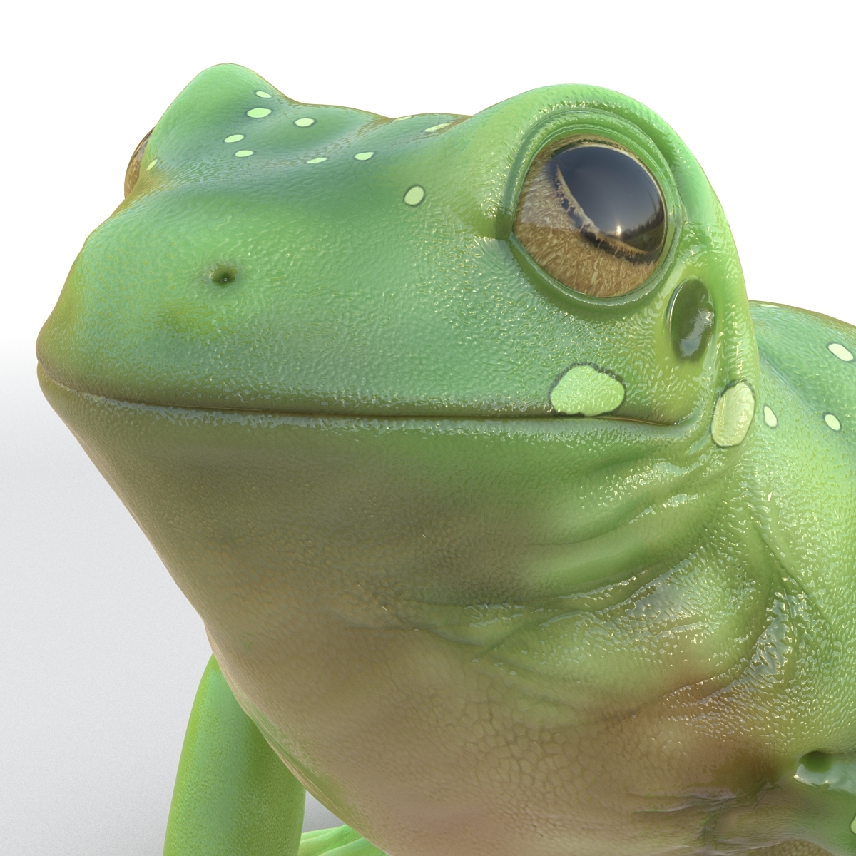3d model australian green tree frog
