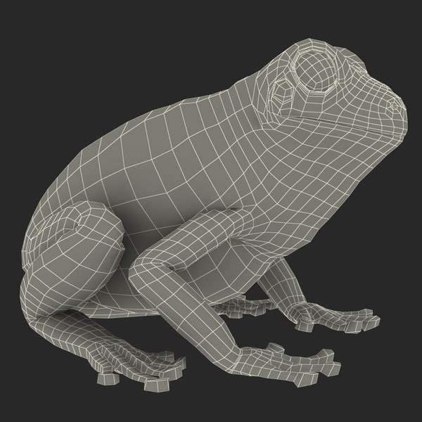 3d model australian green tree frog