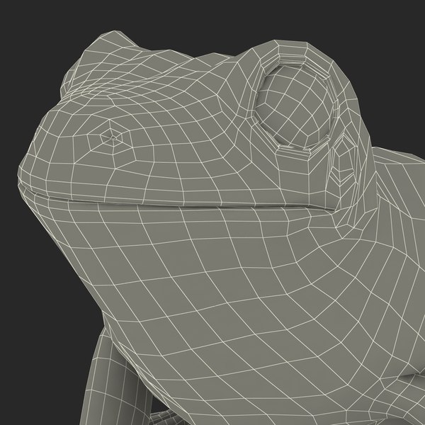 3d model australian green tree frog
