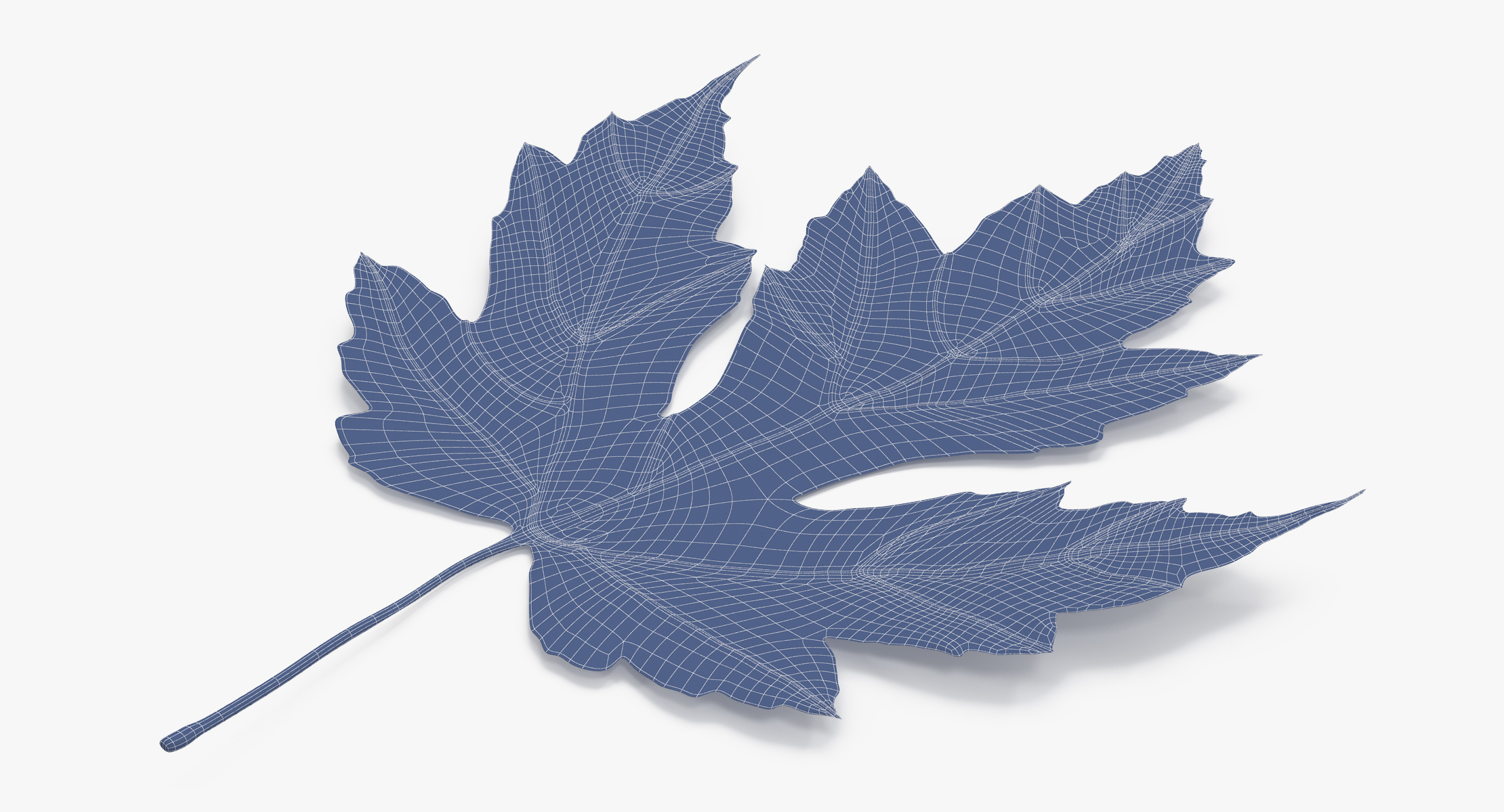 maple leaf 01 3d max