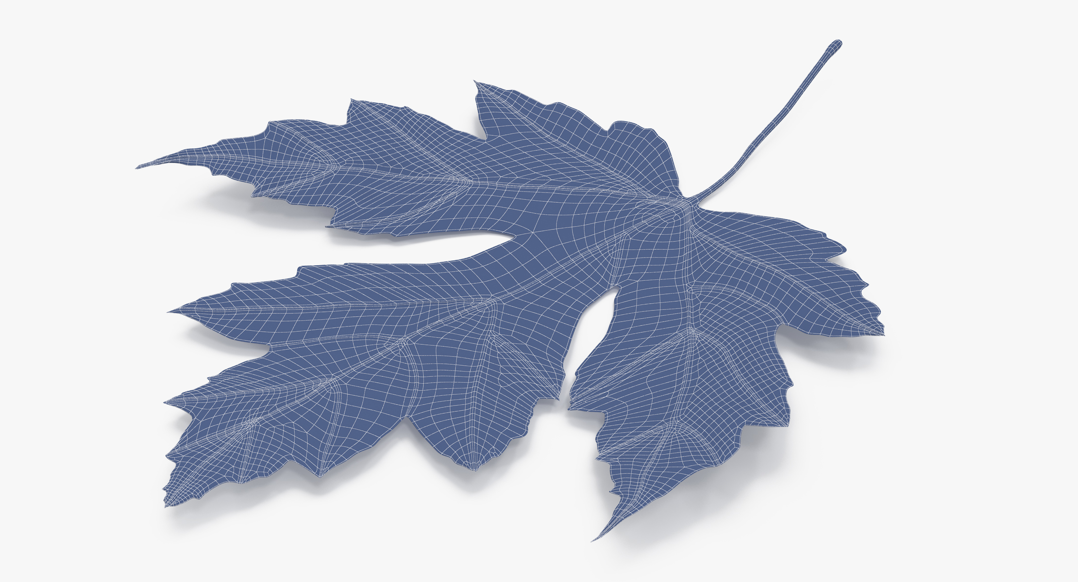 3d yellow maple leaf