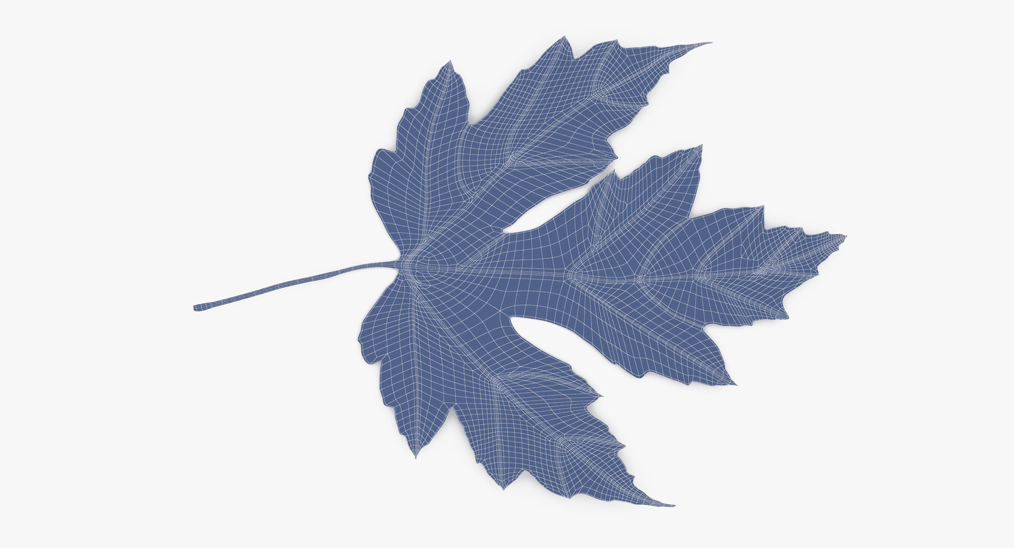 3d yellow maple leaf