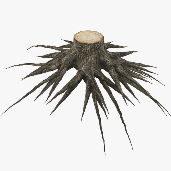 3D Roots Models | TurboSquid