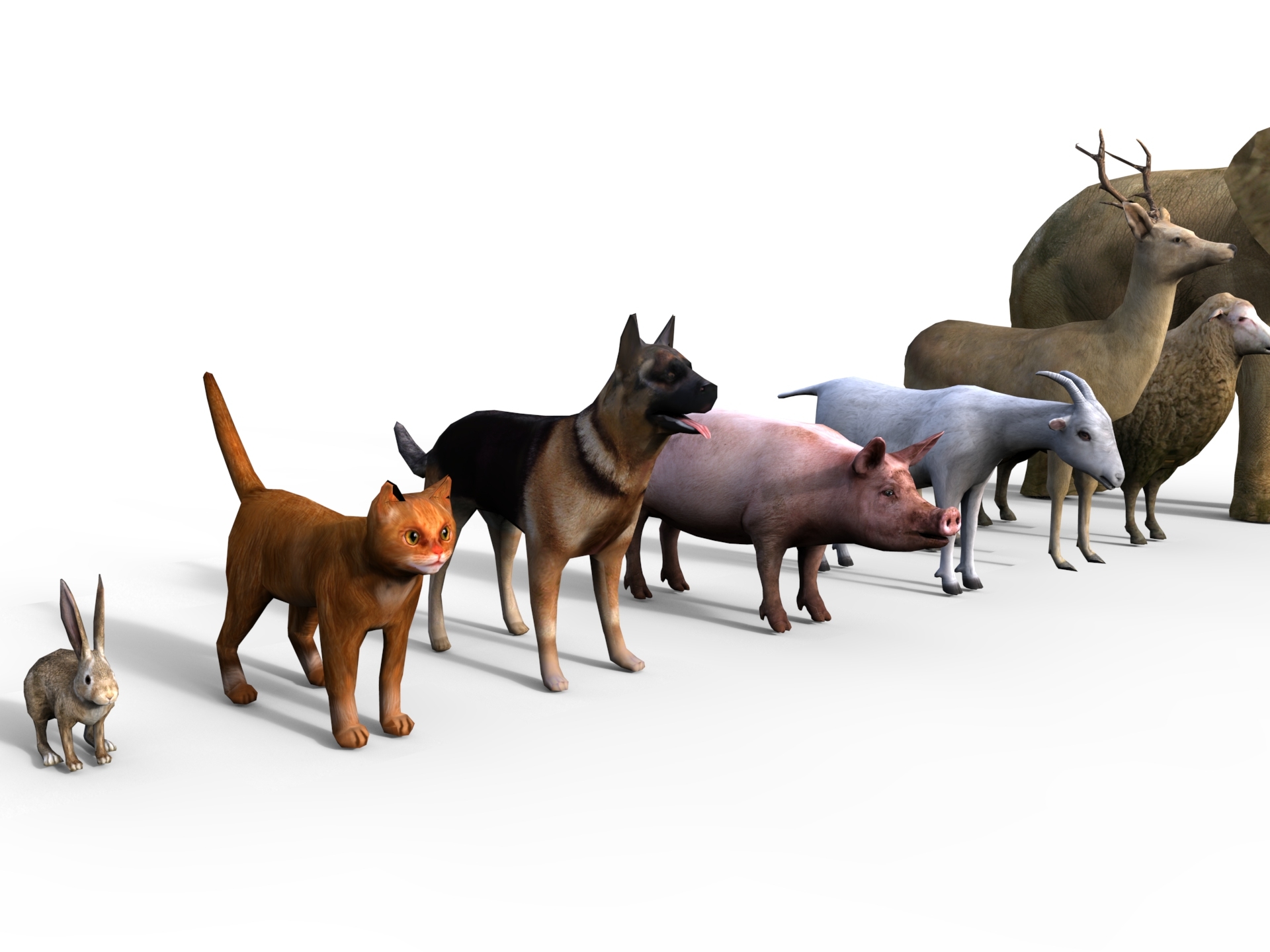 8 animal 3d model