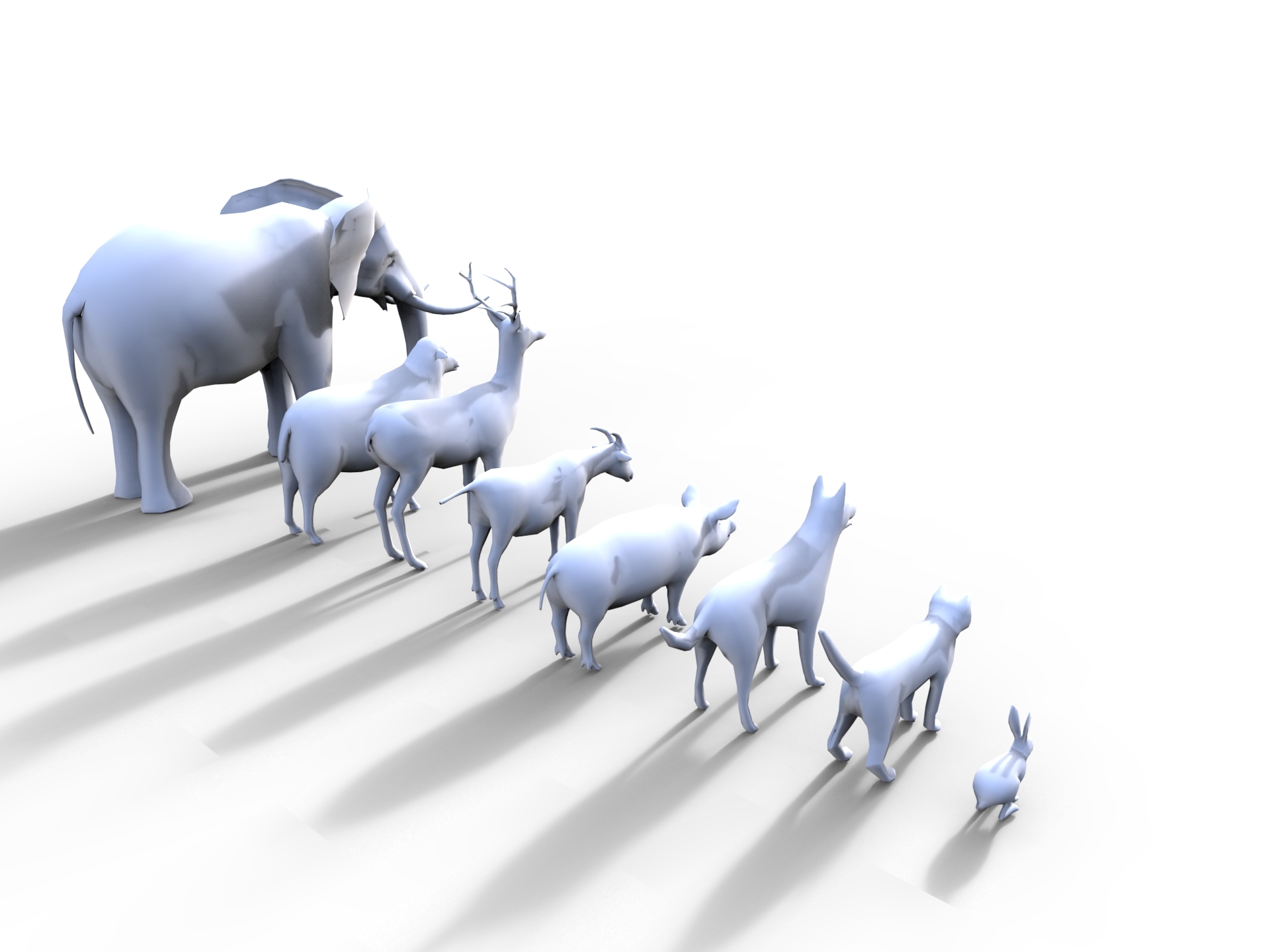 8 animal 3d model