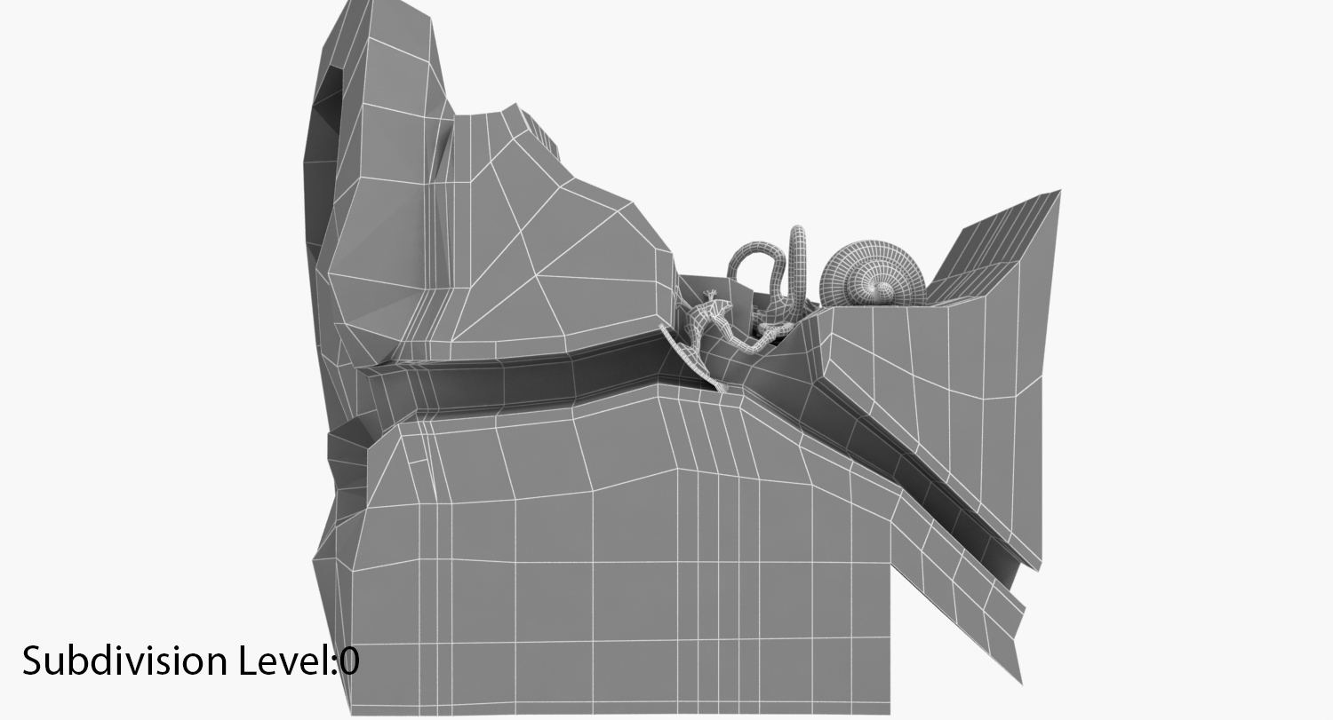 ear anatomy 3d model