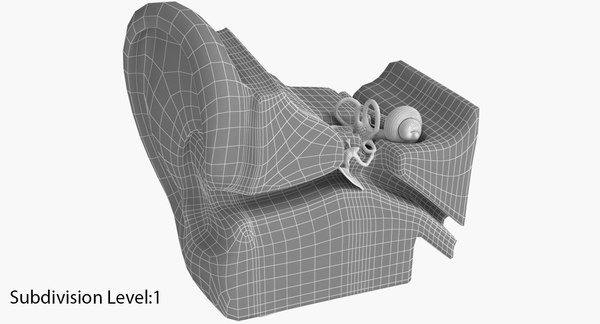 ear anatomy 3d model