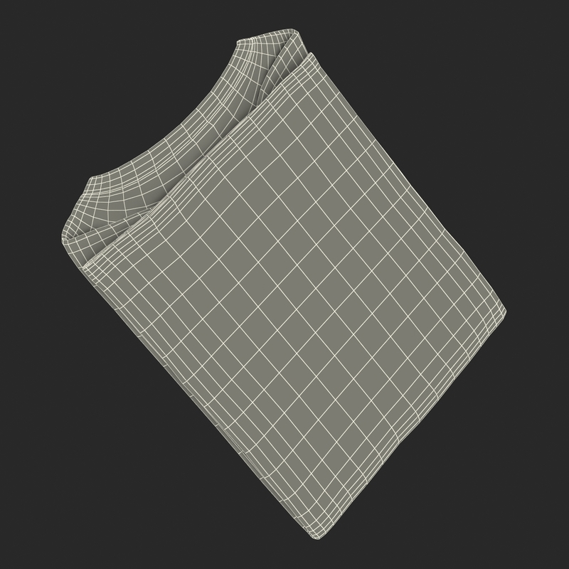 3d folded t-shirt realistic model